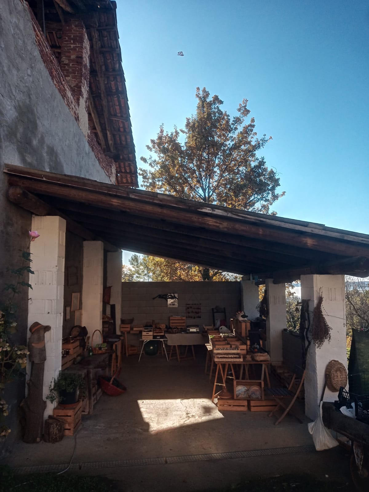 Il Campo di Andrea Monaco – Slow Food Travel